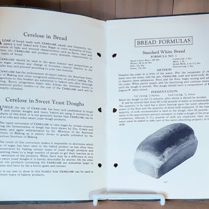 Antique Bread Making Recipe Booklet Circa 1928 Vintage Advertising for ...