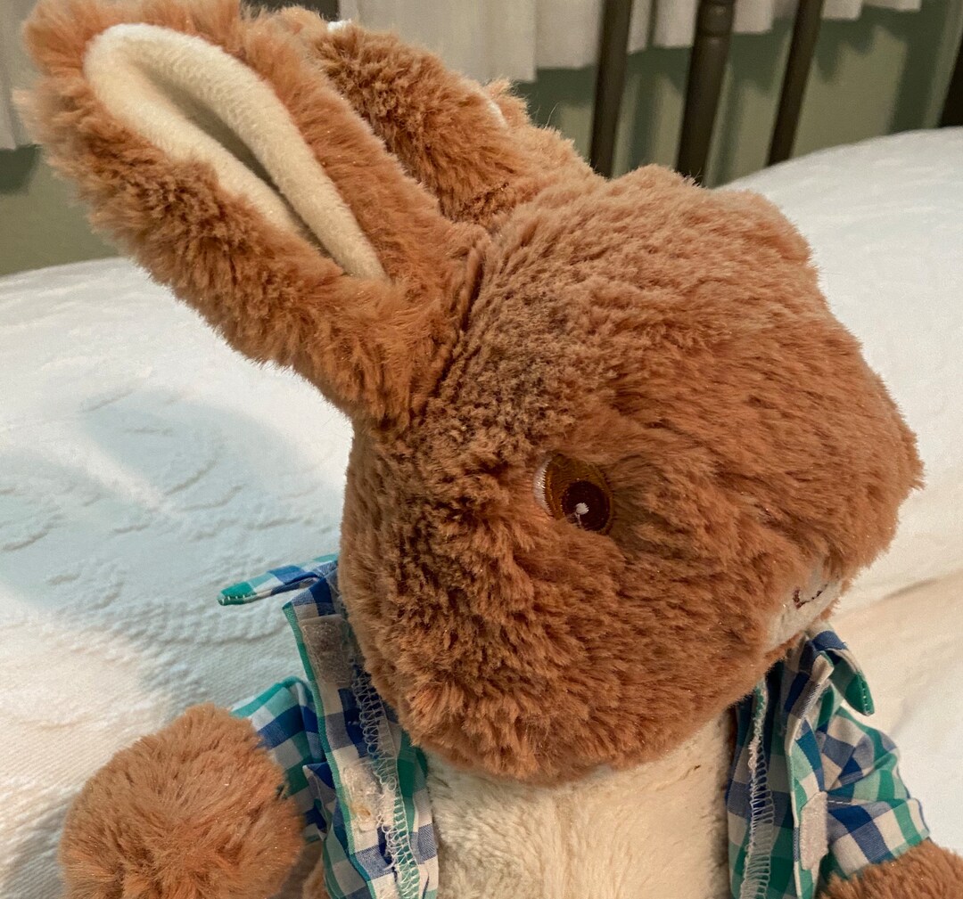 Beatrix Potter Vintage Bunny Rabbit the Real Peter Rabbit - Etsy