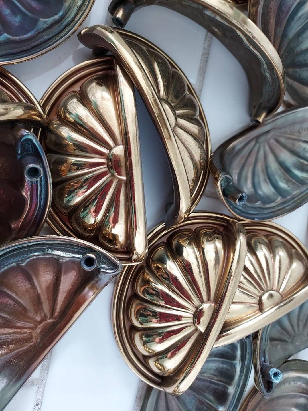 Brass Shell Fan Style Drawer Pulls 4 Dollars Each. See Description - Etsy