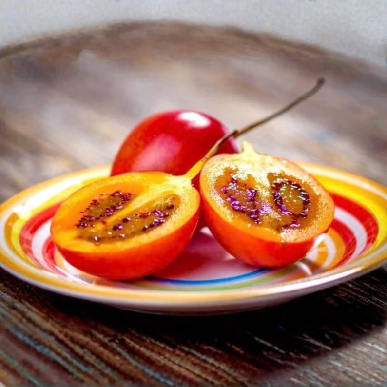 20 Tamarillo Seeds Tomato Tree for Planting Cyphomandra Betacea Exotic ...