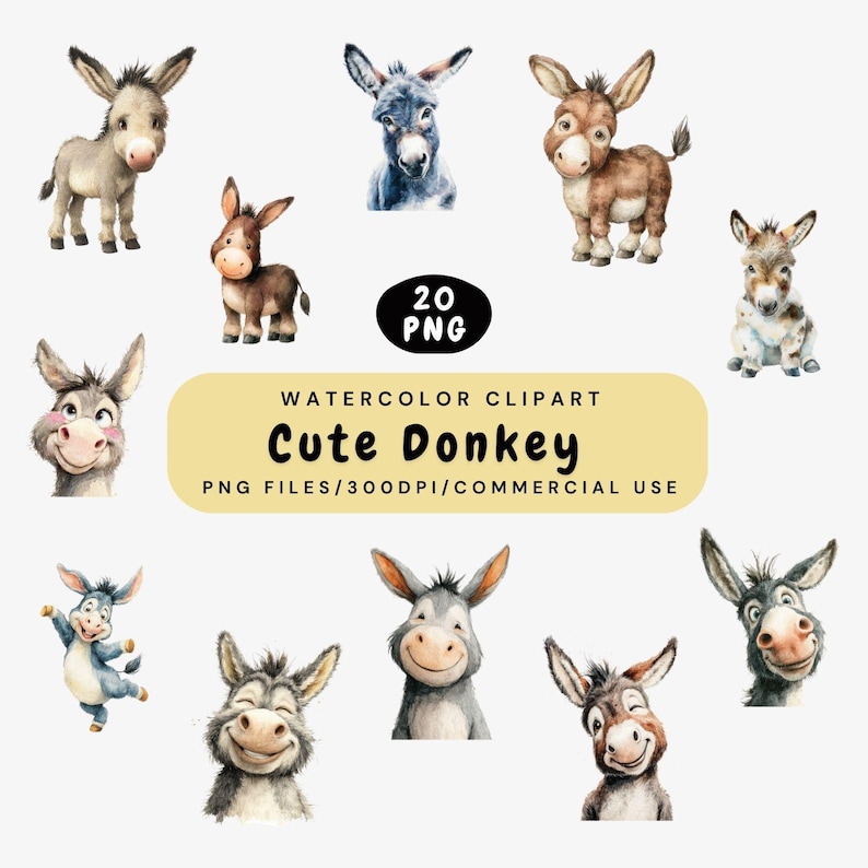 Cute Donkey Clipart, Baby Donkey PNG Bundle, Farm Animal Illustration ...