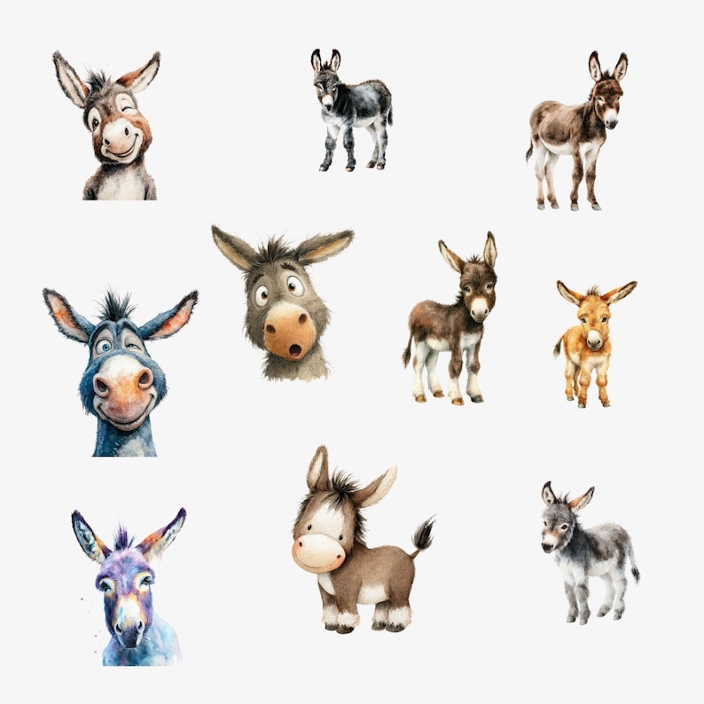 Cute Donkey Clipart, Baby Donkey PNG Bundle, Farm Animal Illustration ...