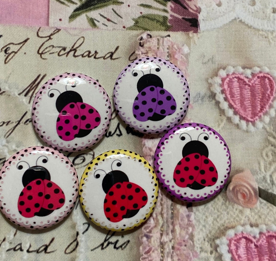 5 Cute Little Lady Bug Polka Dot Pinback Button Party Favors Brooches ...