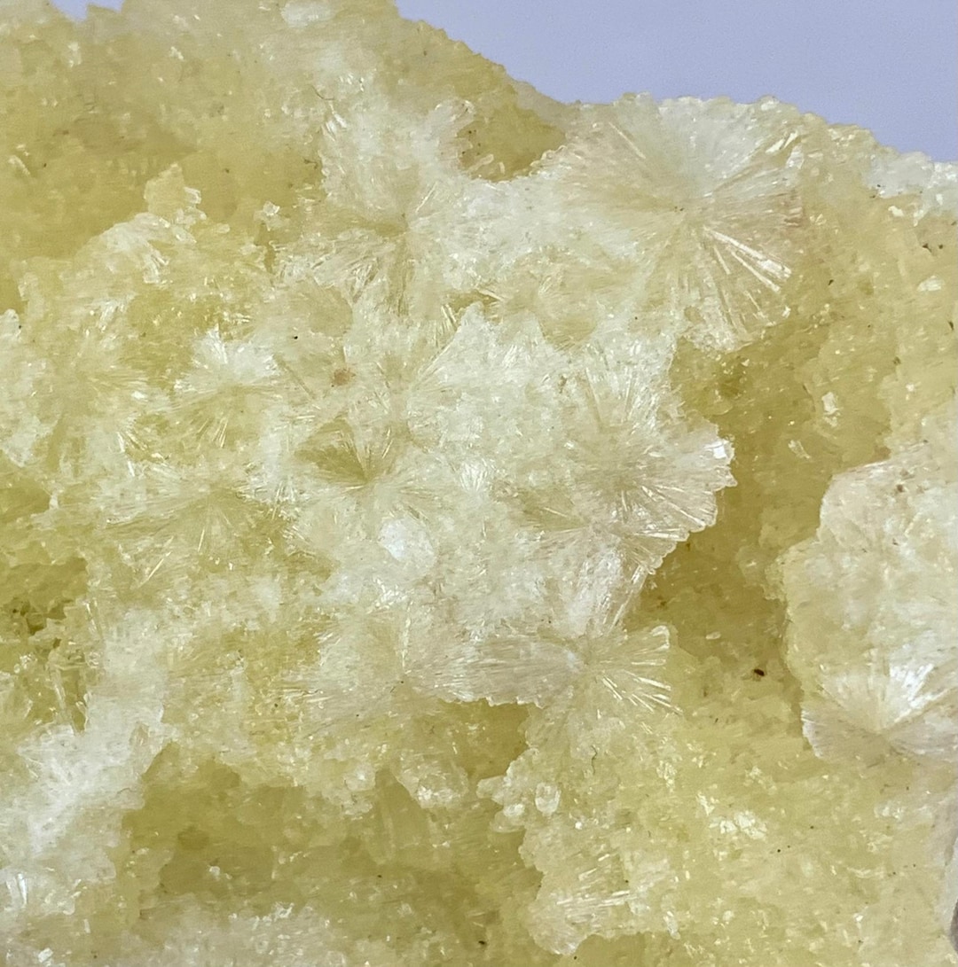 Aragonite Cluster | Rare Flower Crystal, Afghanistan Mineral Specimen ...