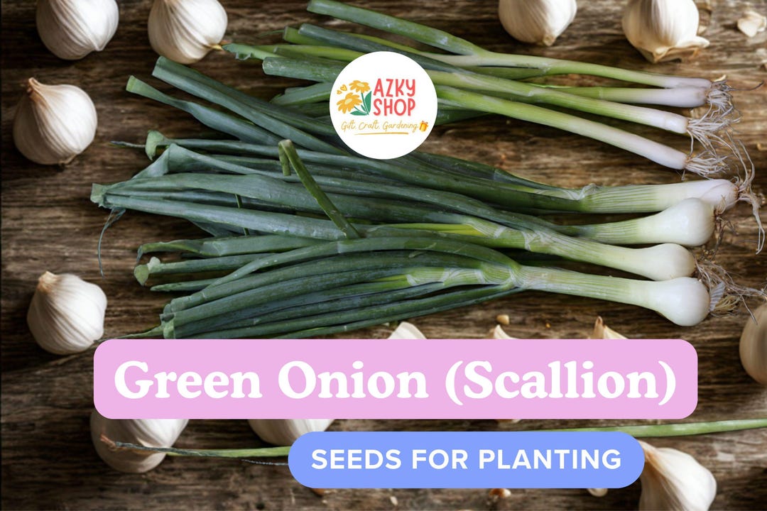 100 Green Onion Scallion Seeds for Planting – Non-gmo Heirloom, Mild ...