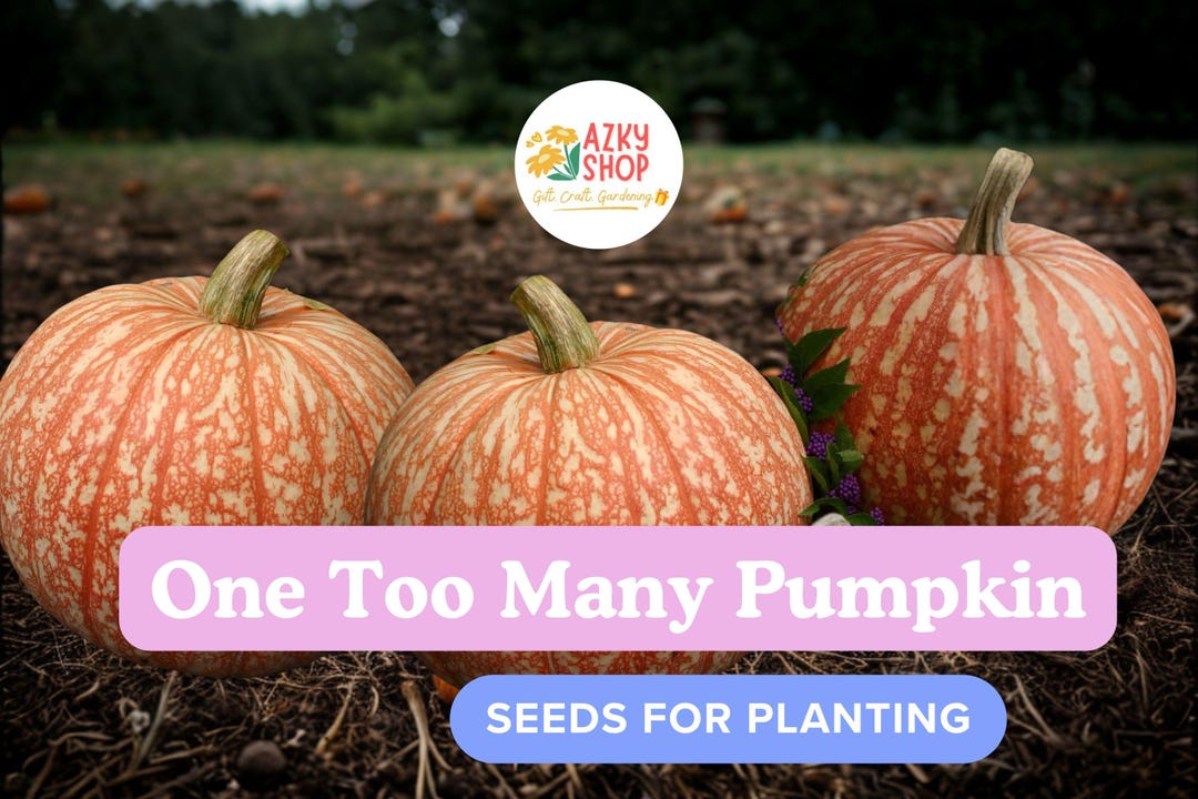 10 One Too Many Pumpkin Seeds for Planting – Rare Exotic Striped ...