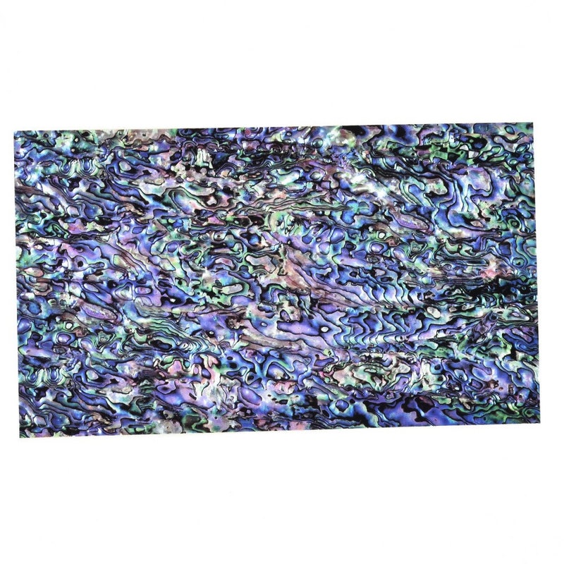 Paua Shell Pattern - Etsy New Zealand