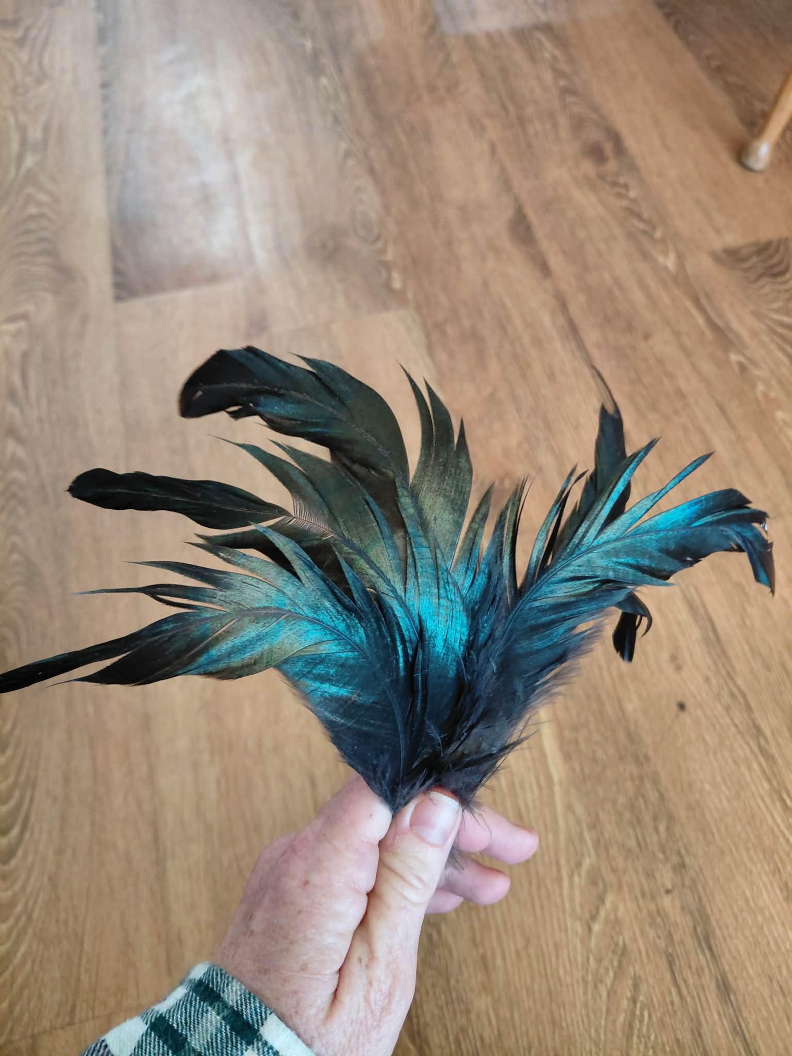 10-12" Rooster Tail Feathers/ Pack of 6 - Etsy