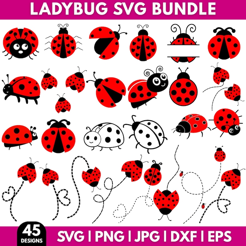 Ladybug SVG Bundle, Cute Ladybug Clipart, Ladybug PNG Jpg Dxf Eps ...