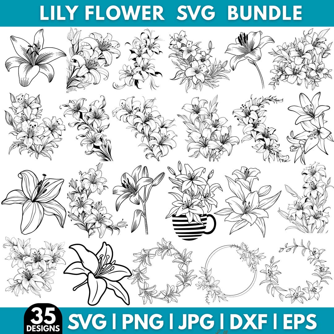 Lily Flowers SVG Bundle, Lily Flowers Png, Botanical Svg, Lilies ...