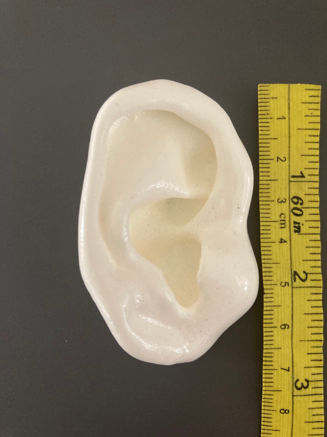 Ear - Wall Art - Etsy