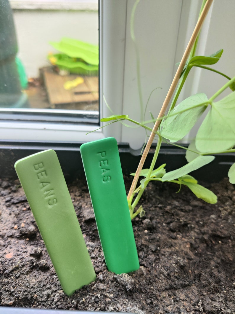 Vegetable Seedling Plant Tags Labels, Set of 4 - Etsy