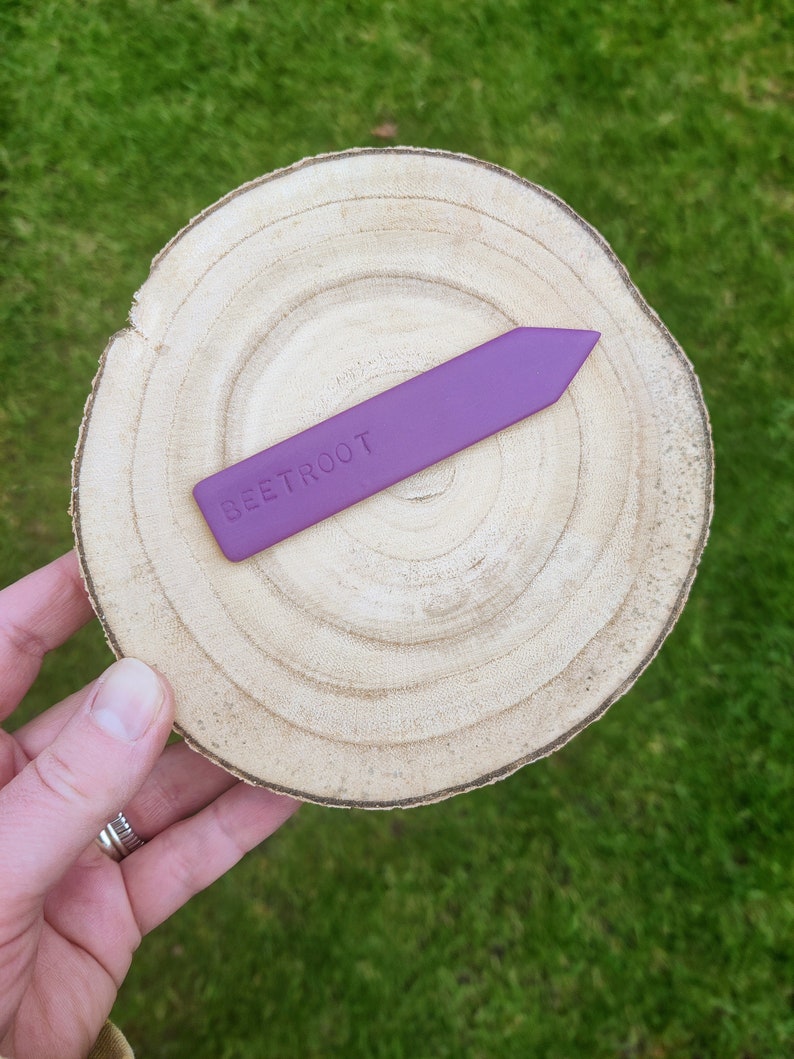 Vegetable Seedling Plant Tags Labels, Set of 4 - Etsy