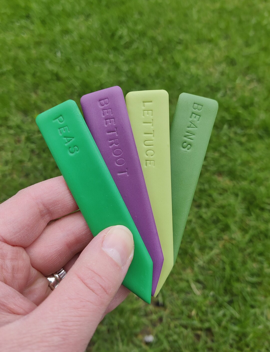 Vegetable Seedling Plant Tags Labels, Set of 4 - Etsy