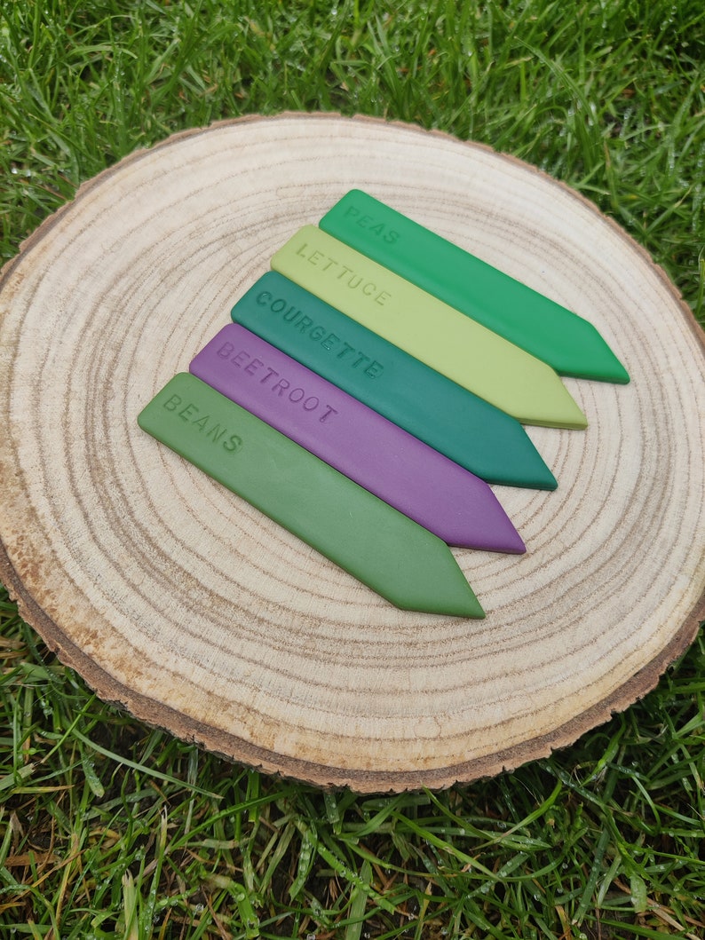 Vegetable Seedling Plant Tags Labels, Set of 4 - Etsy