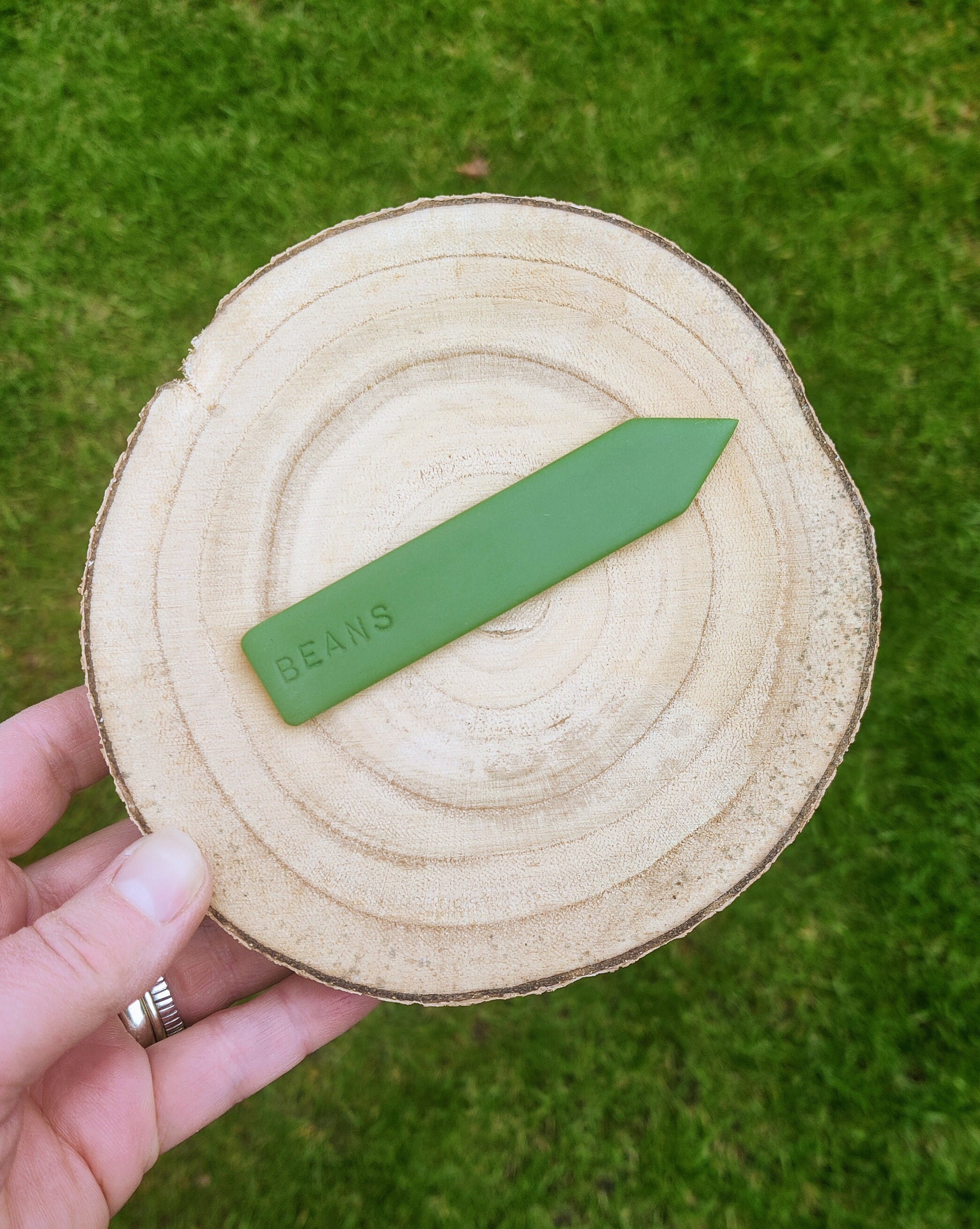 Vegetable Seedling Plant Tags Labels, Set of 4 - Etsy