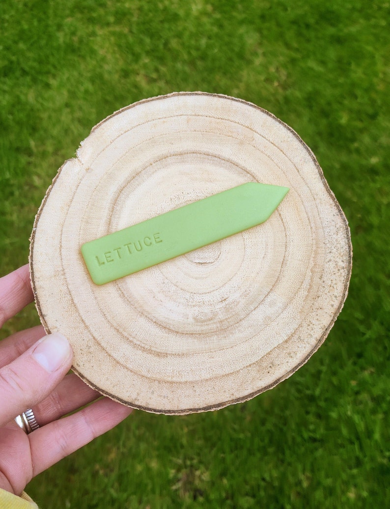 Vegetable Seedling Plant Tags Labels, Set of 4 - Etsy