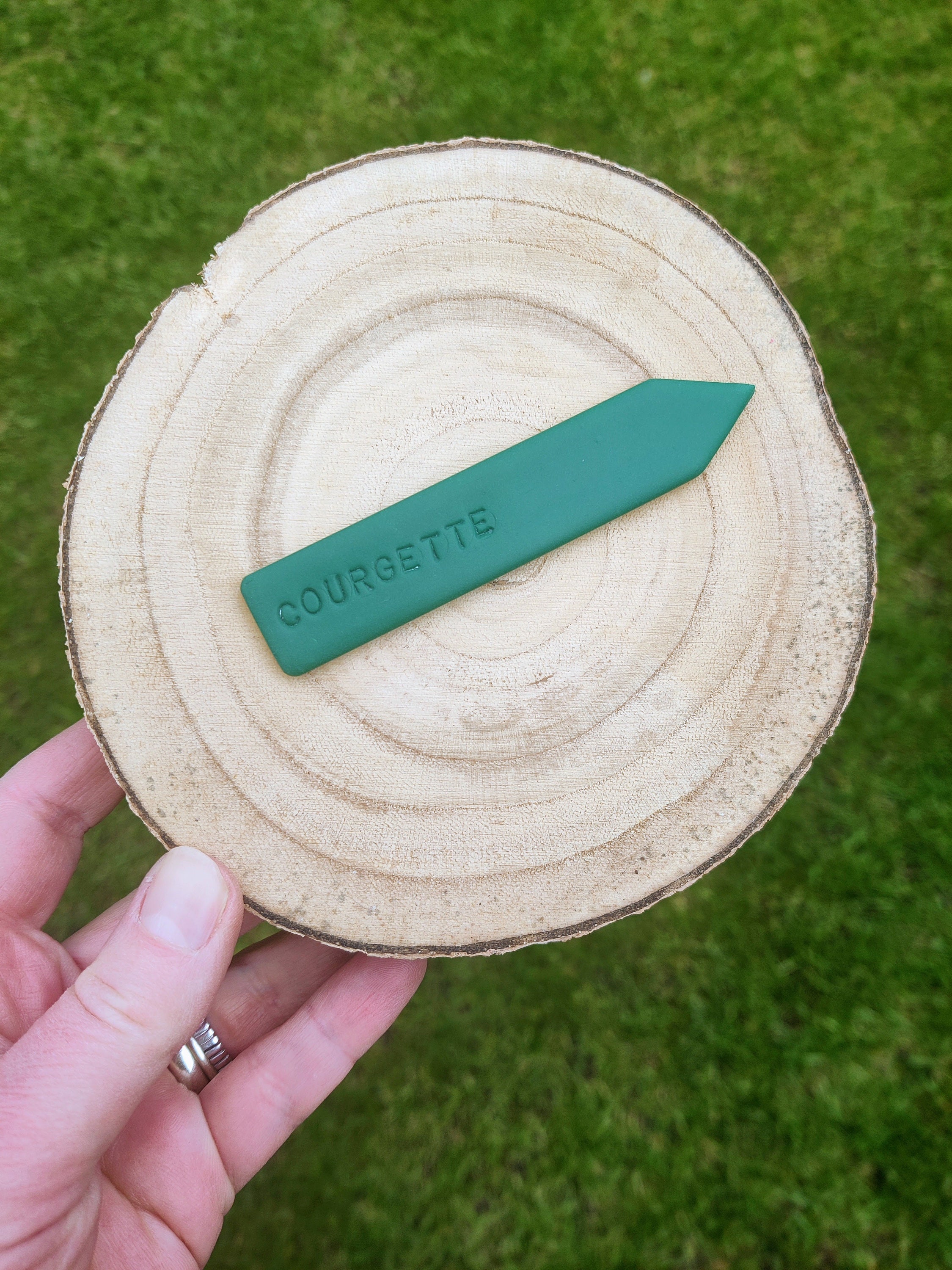 Vegetable Seedling Plant Tags Labels, Set of 4 - Etsy