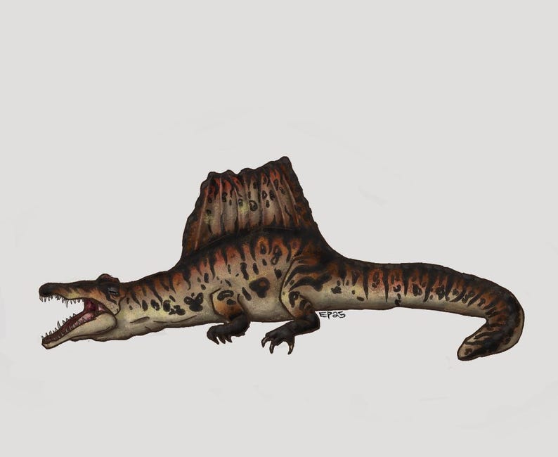 Spinosaurus Basking Sticker - Etsy