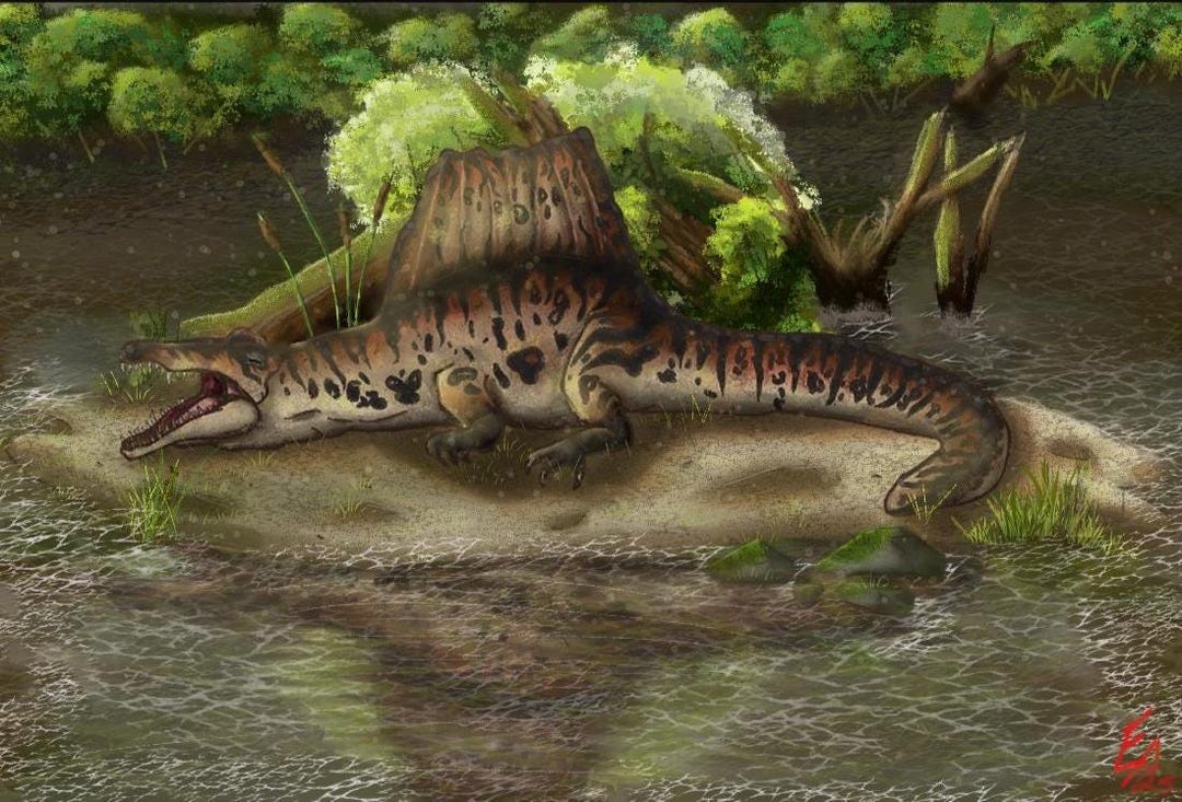Spinosaurus Basking Print - Etsy