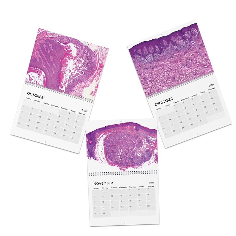Dermatology Wall Calendar 2026, Pathology Stain Histology Lab Gift - Etsy