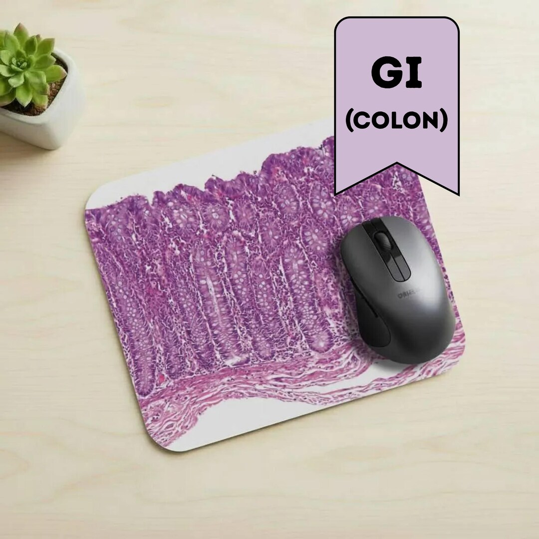 Histology Mouse Pad, Pathology Stain Colon Anatomy, Medical Lab Tech ...