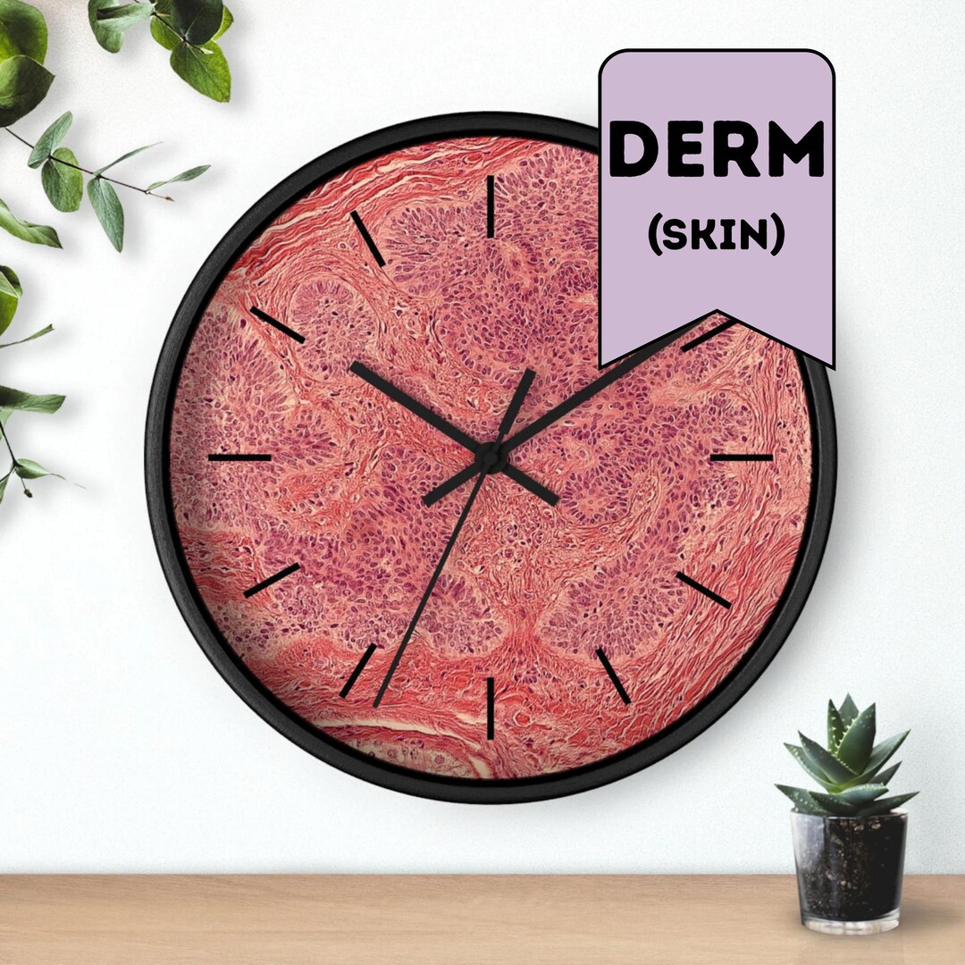 Histology Wall Clock, Dermatology Skin Pathology Stain Anatomy Medical ...