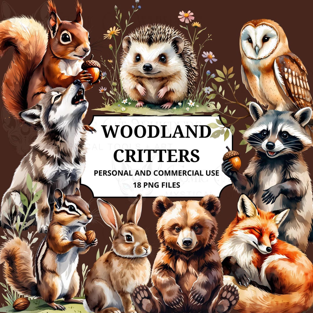 Woodland Critters Watercolor Clipart – 18 Pngs: Fox, Rabbit, Deer, Owl ...