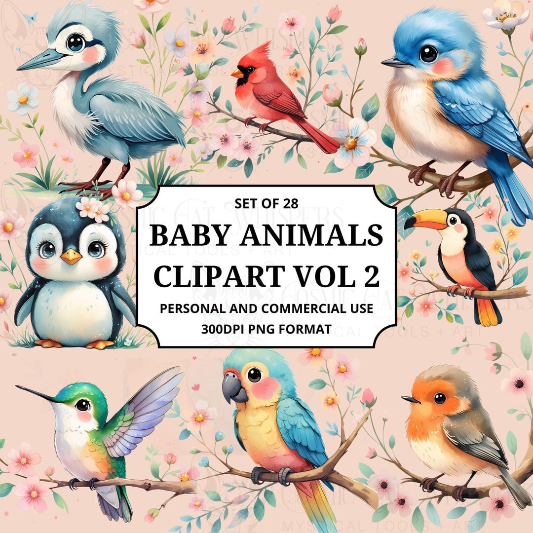 Baby Birds Clipart | 28 Cute Baby Bird Pngs Flying, Perched & Grounded ...