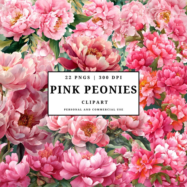 Pink Peony Clipart Bundle Watercolor Peonies PNG Flowers Floral ...
