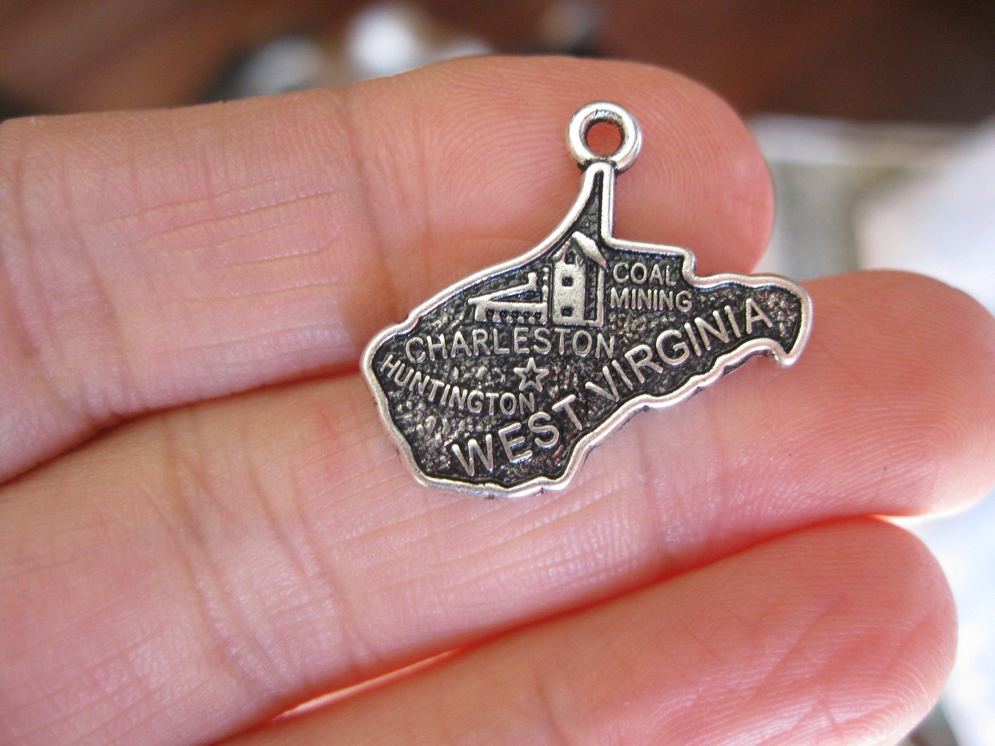 West Virginia Charm Collection in Silver Tone C3297 | Etsy