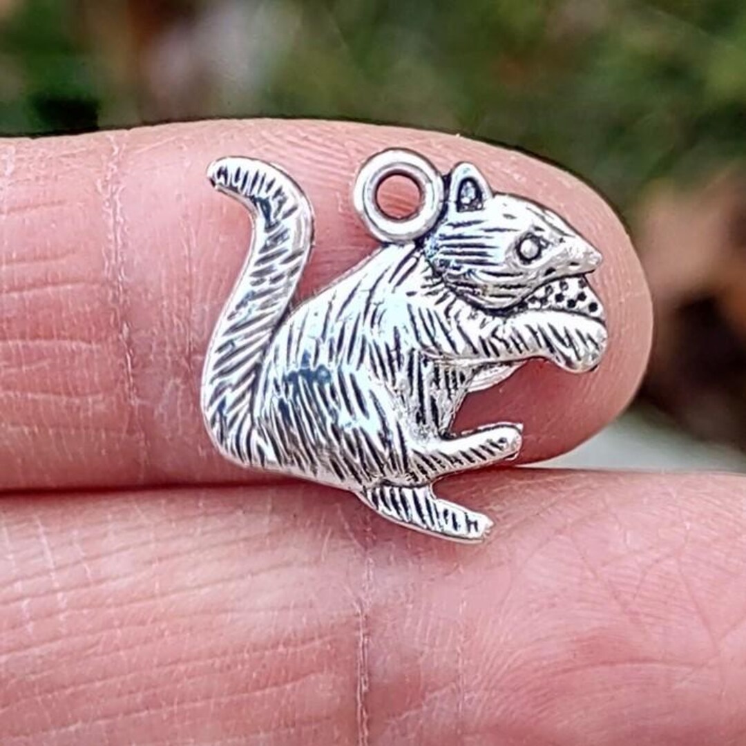 10 Chipmunk Mouse Charms in Silver Tone - C4454 - Etsy