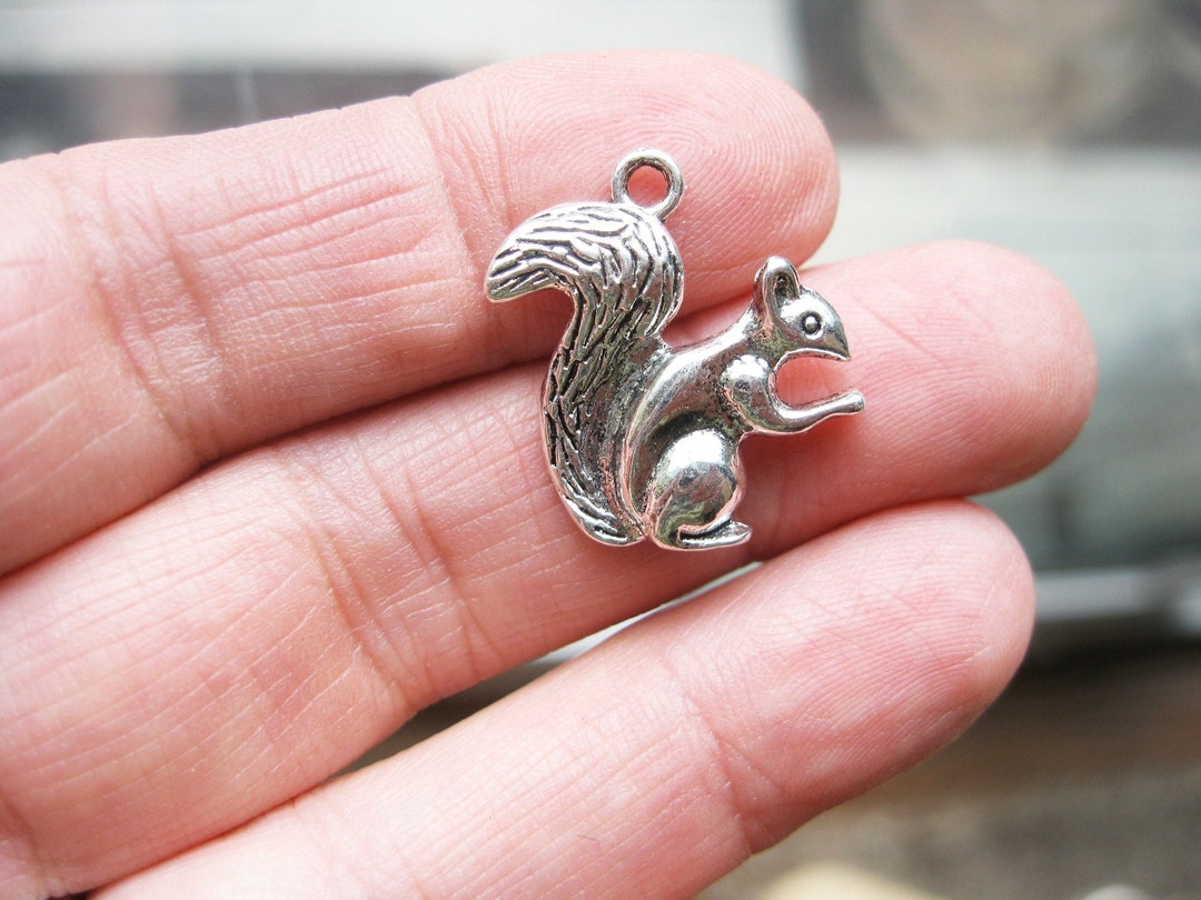 10 Squirrel Charms in Silver Tone - C3295 - Etsy