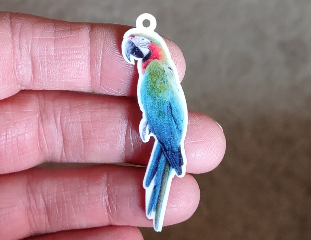 12 Parrot Charms Pendants in Acrylic - C3973 - Etsy