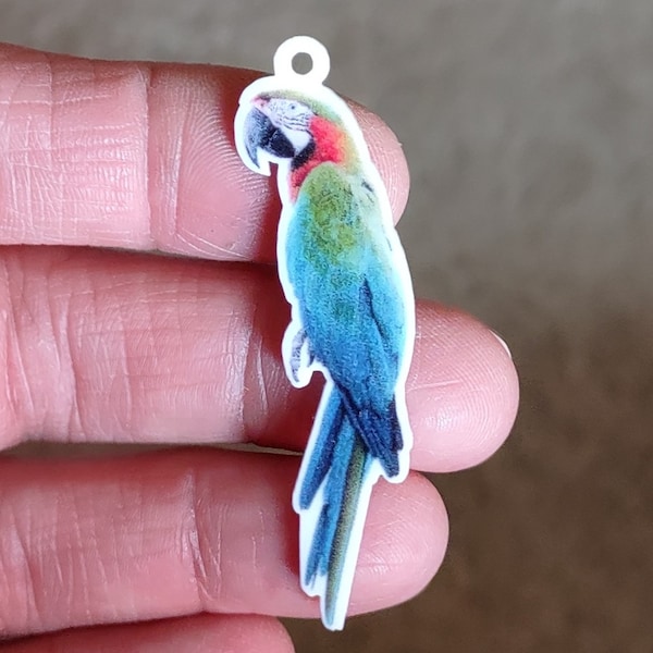 Parrot Charms - Etsy