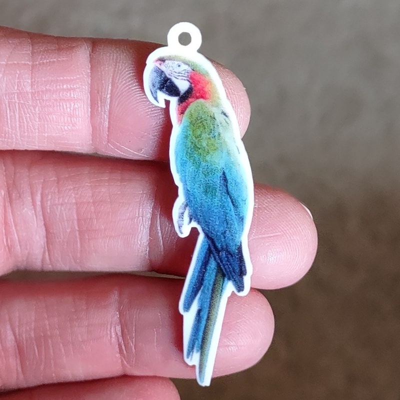 Parrot Charms - Etsy