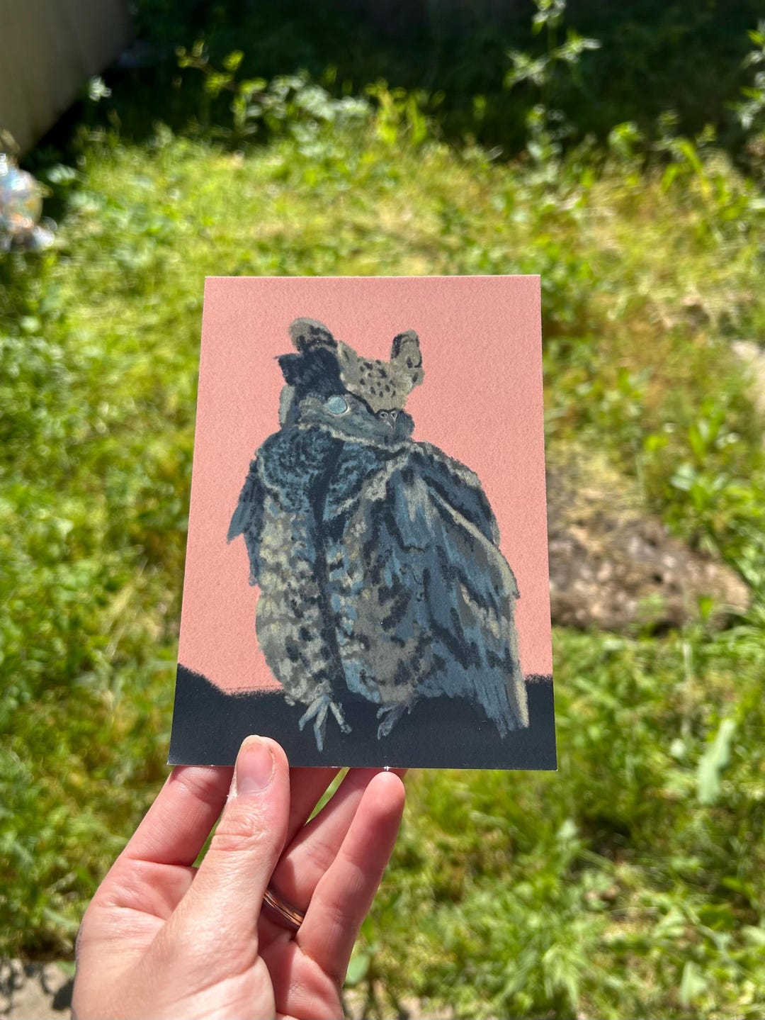 Art Print - Eurasian Nightjar Bird Drawing, 4x6 Postcard and Nature Art ...