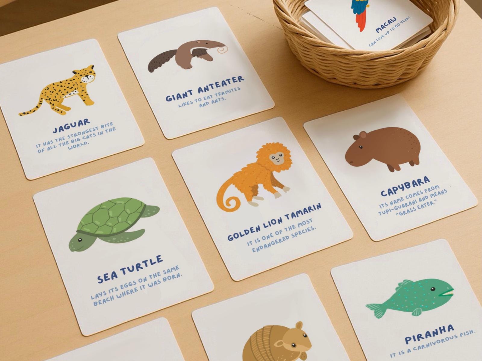 Brazilian Animals Activity Pack | Flashcards, Coloring Pages, Matching ...