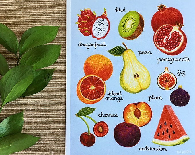 Illustrated Fruit Print, Fruit Art Print, Garden Art, Kitchen Art, 8 X ...