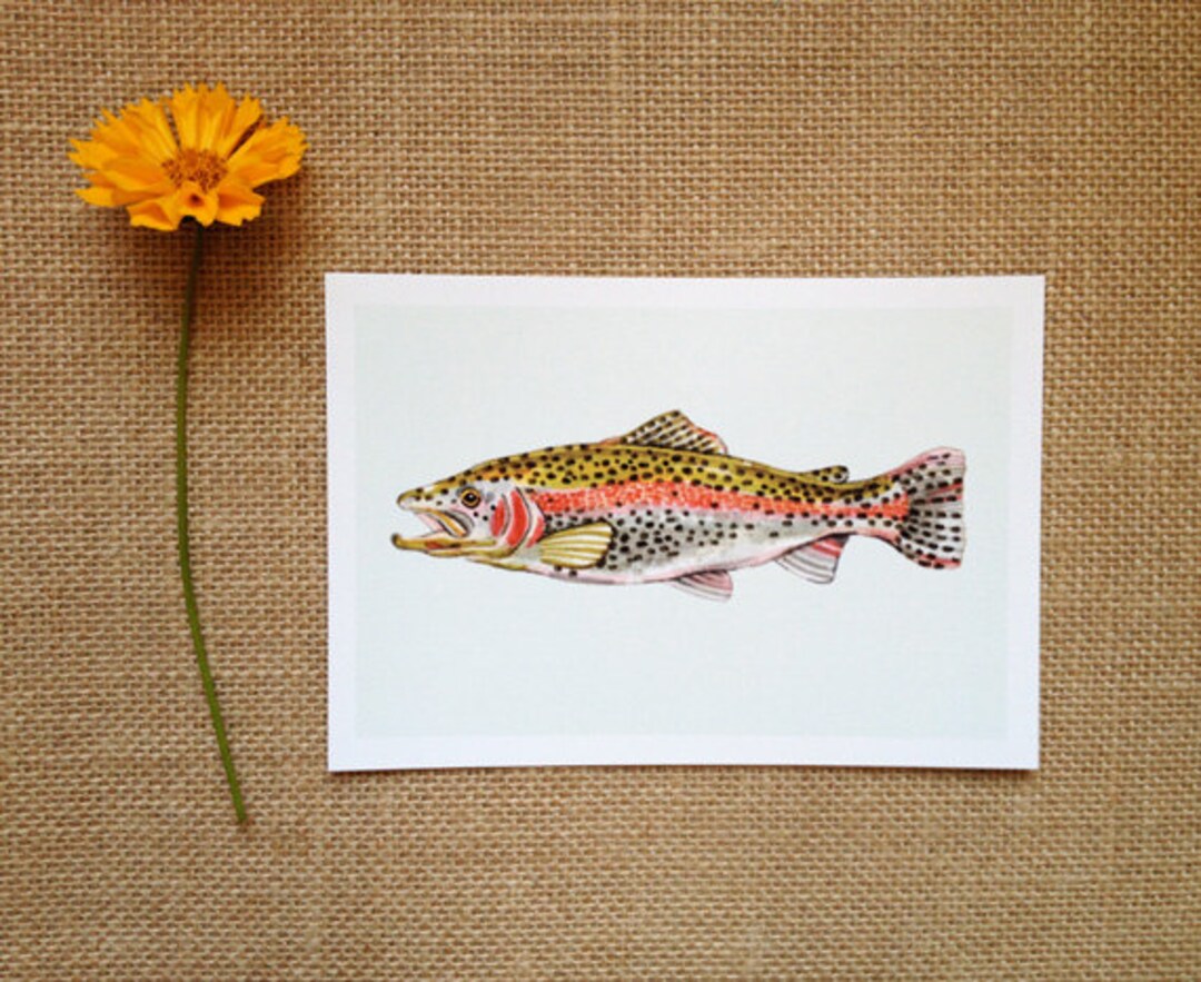 Rainbow Trout, Fishing Art, Trout Painting, 5" X 7" Mini Art Print - Etsy