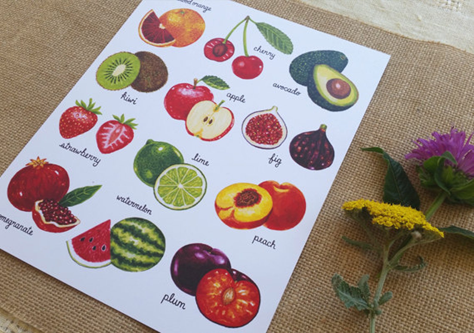 Fruit Chart Print 8 X 10 Art Print Kitchen Art | Etsy