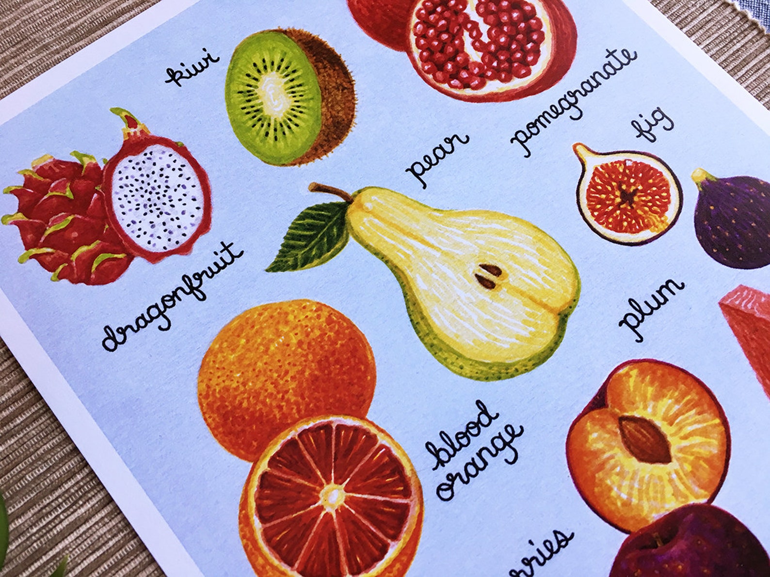 Illustrated Fruit Print, Fruit Art Print, Garden Art, Kitchen Art, 8 X ...