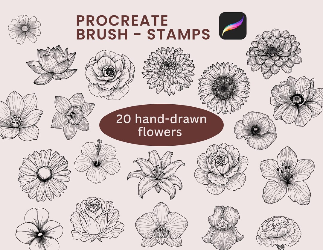 20 Hand-drawn Flower Procreate Stamp Brushes | Floral Line Art Set ...