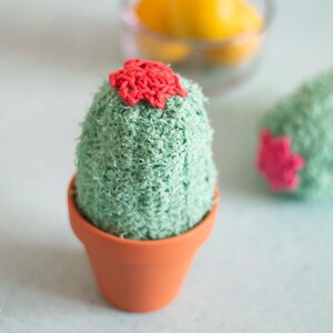 CROCHET PATTERN: Crochet Cactus Scrubby for Cleaning Dishes - PDF ...