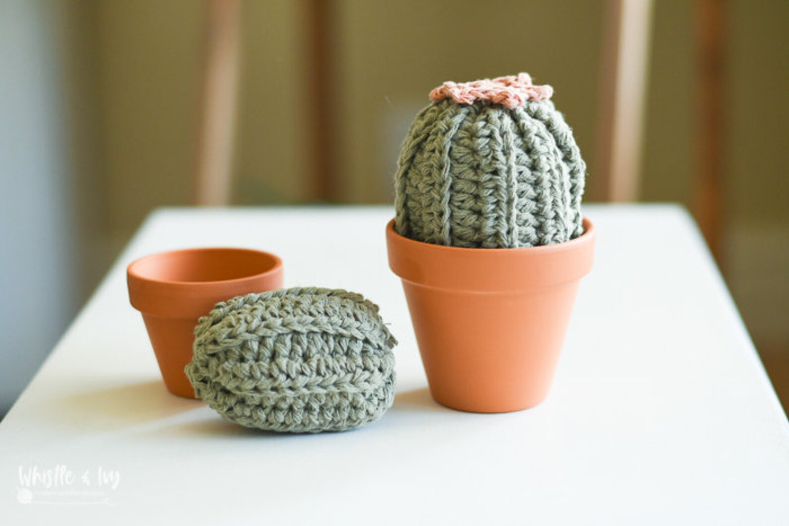 CROCHET PATTERN: Crochet Cactus Scrubby for Cleaning Dishes PDF Instant ...