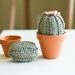 CROCHET PATTERN: Crochet Cactus Scrubby for Cleaning Dishes - PDF ...