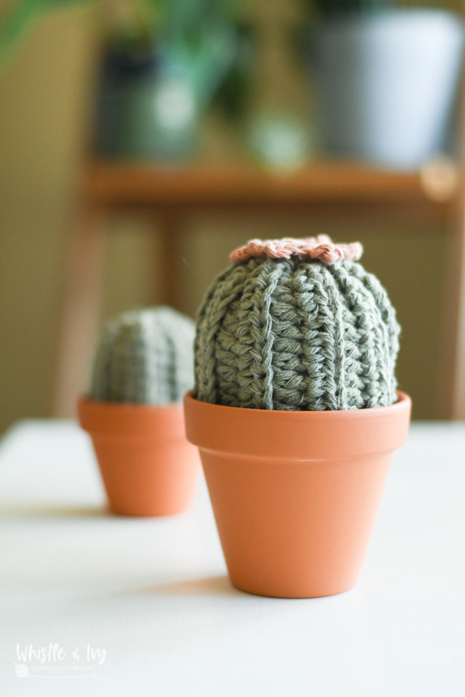 CROCHET PATTERN: Crochet Cactus Scrubby for Cleaning Dishes - PDF ...