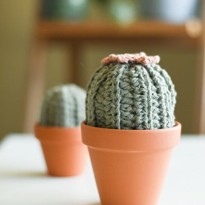CROCHET PATTERN: Crochet Cactus Scrubby for Cleaning Dishes - PDF ...