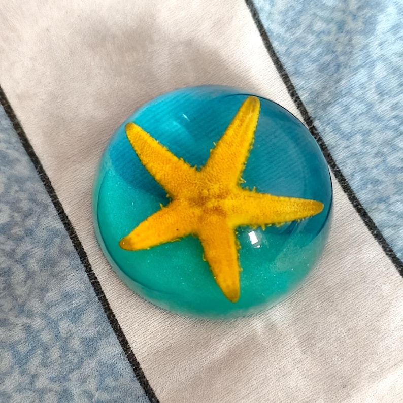 Glowing Spider Resin Paperweight, Real Insect Specimen, Epoxy Encased ...