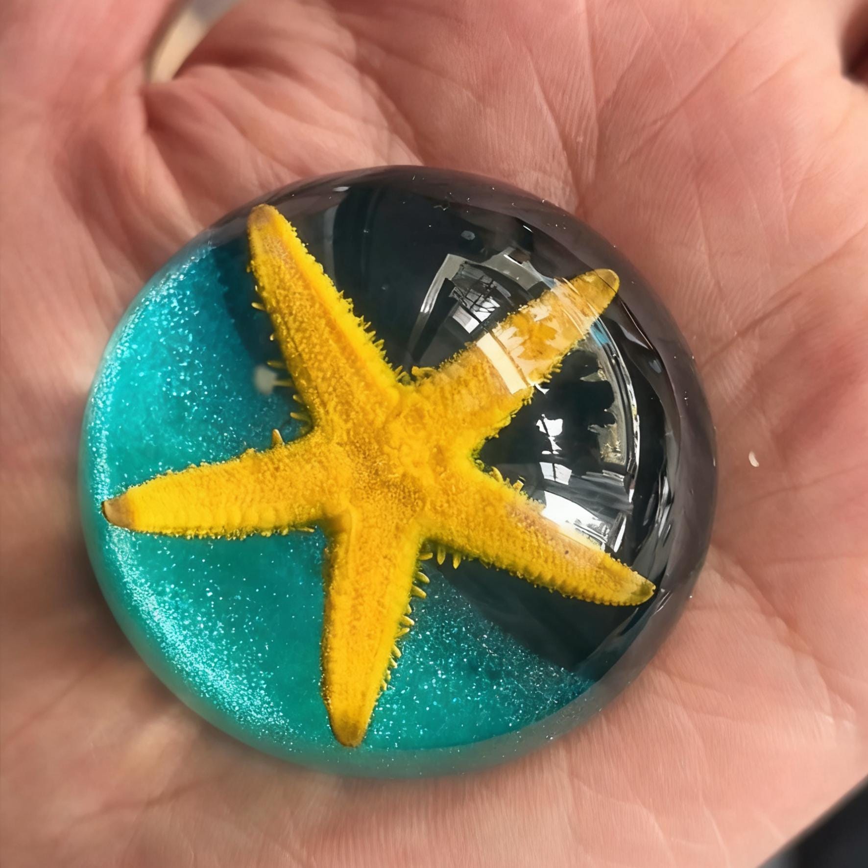 Glowing Spider Resin Paperweight, Real Insect Specimen, Epoxy Encased ...